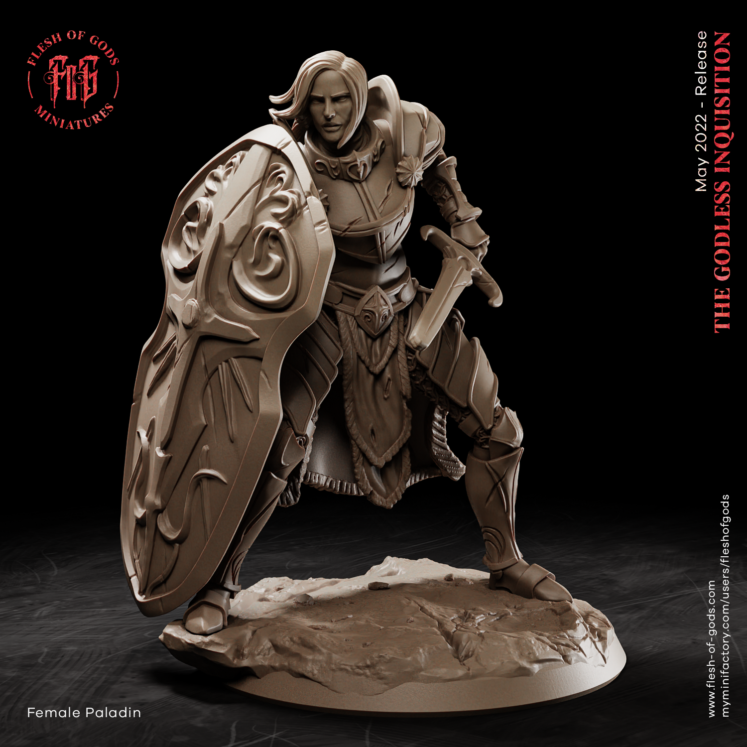 Flash of Gods - Female Paladin