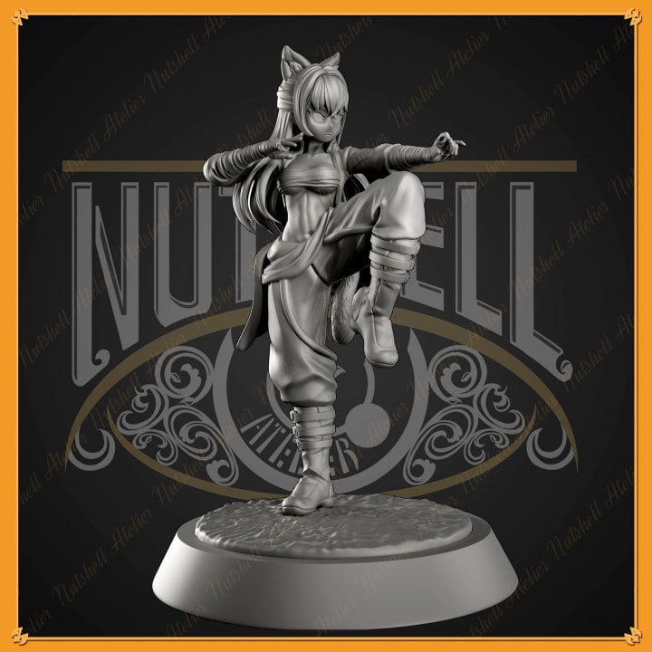 Nutshell - Atelier SH Fighter