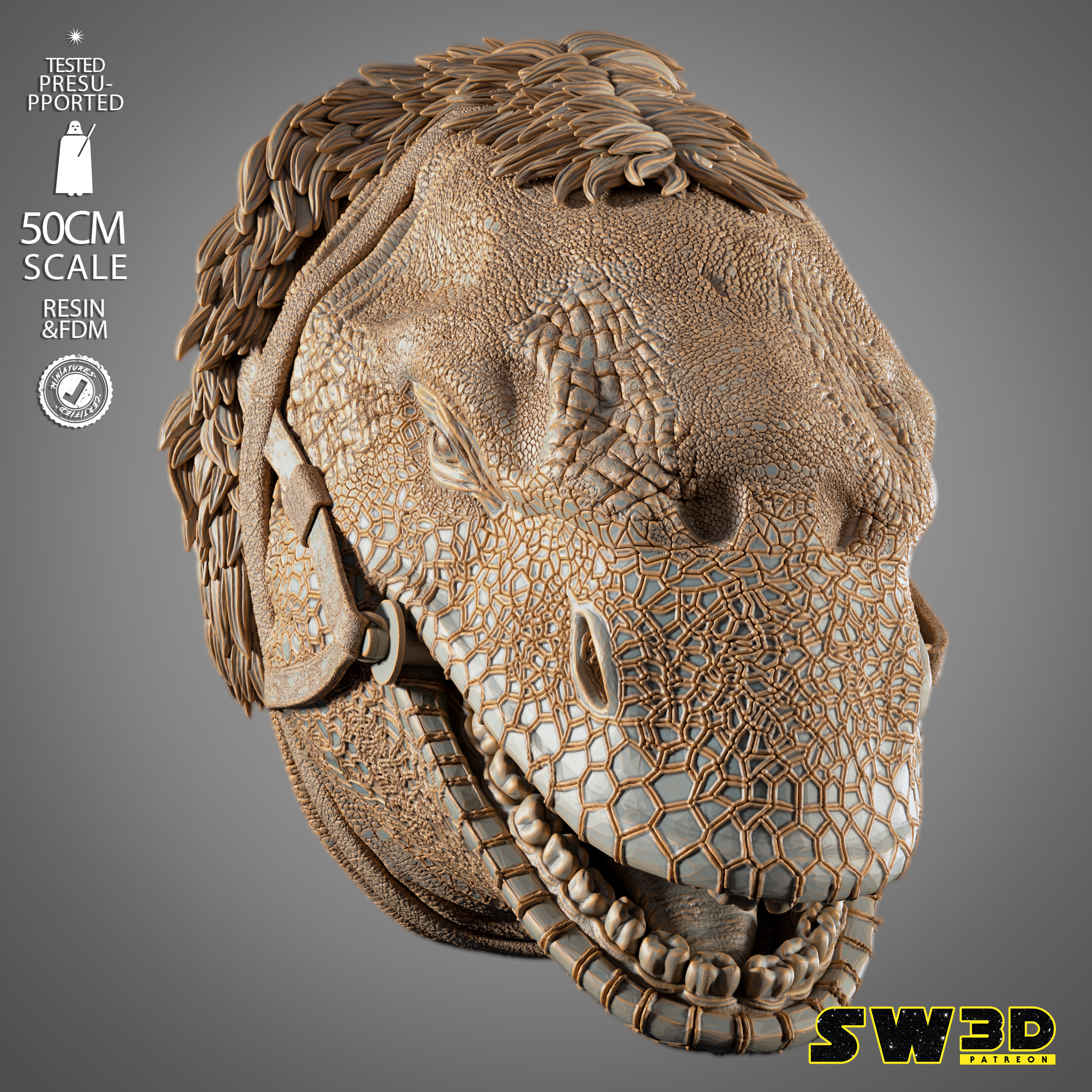 SW3D - Dewback Wall - January 2025