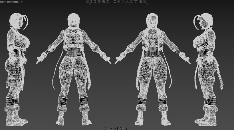 NuskulArt - Cammy 2 Version - Rigged Chracter