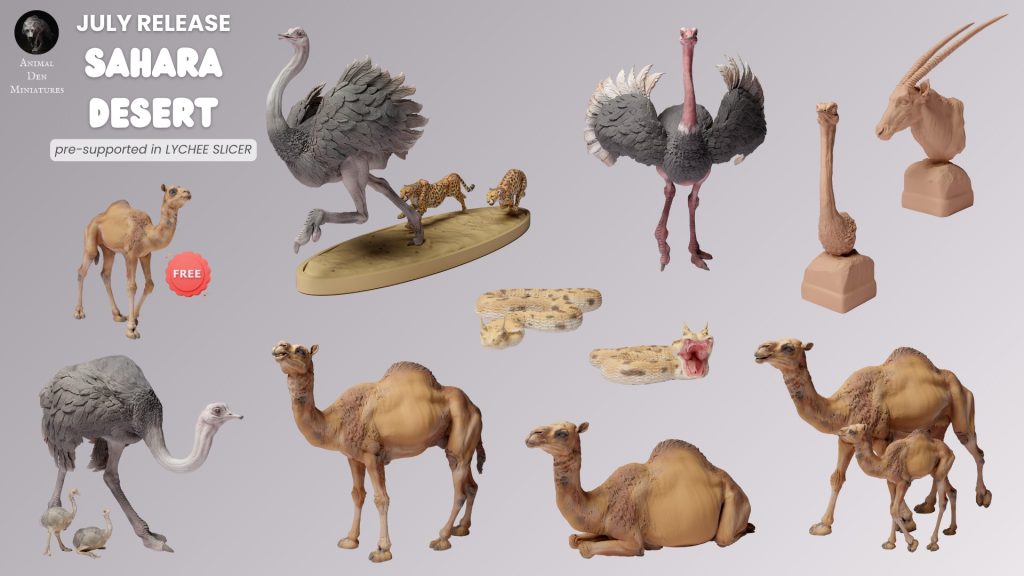 Animal Den - Sahara Desert - July 2024